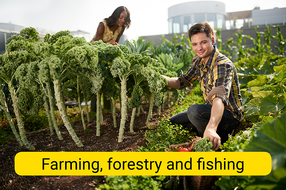 SmartMove Certificate – WorkSafe SmartMove